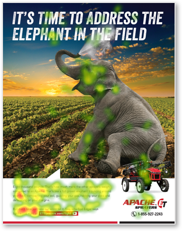 Case Study: Let’s Address the Elephant in the Field | Lessing-Flynn