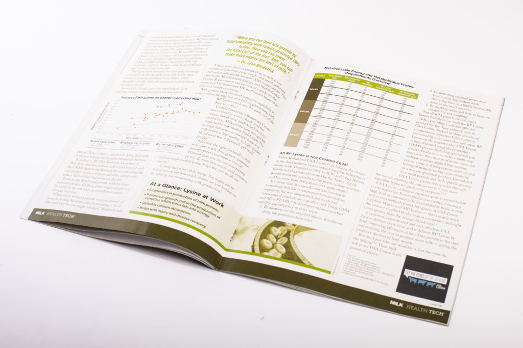 How to Make Print Media Advertising Powerful on a Tight Budget
